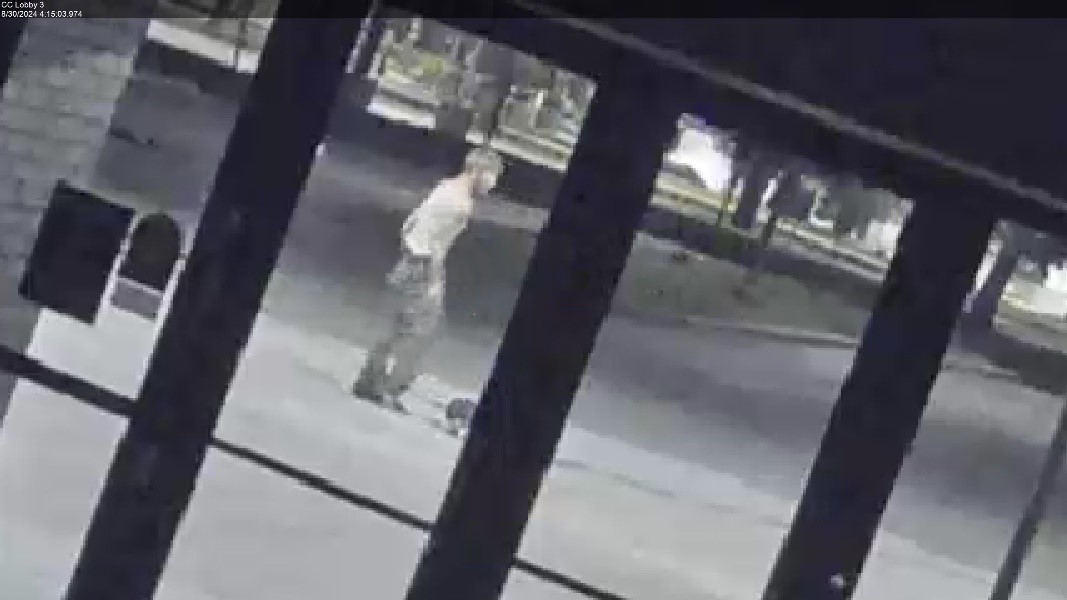 Crime of the Week – Crimestoppers of Decatur and Macon County, Illinois